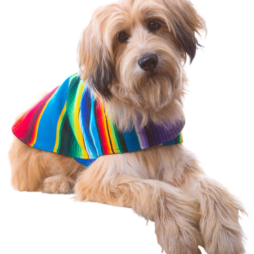 Dog Serape Poncho – CraftyChica